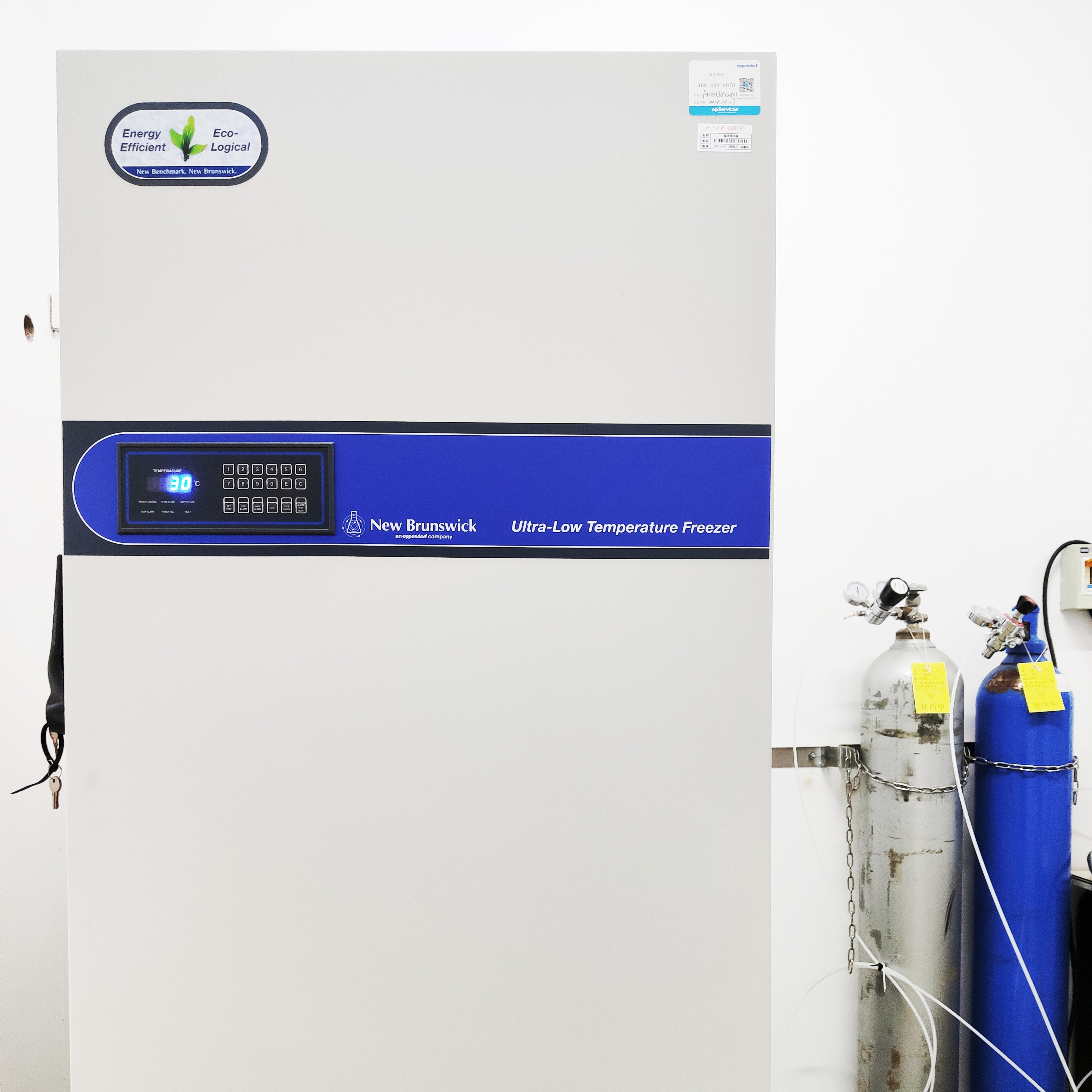 Feng lab – Laboratory of Experimental Physical Biology (LEPB)