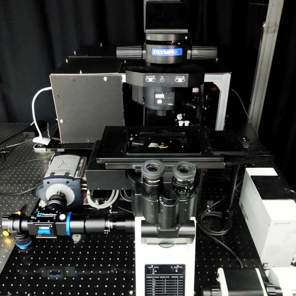 Feng lab – Laboratory of Experimental Physical Biology (LEPB)