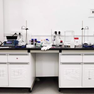 Feng lab – Laboratory of Experimental Physical Biology (LEPB)