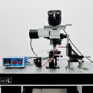 Feng lab – Laboratory of Experimental Physical Biology (LEPB)